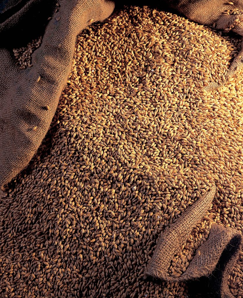 Everything you need to know about… malt – Beers of the World Magazine